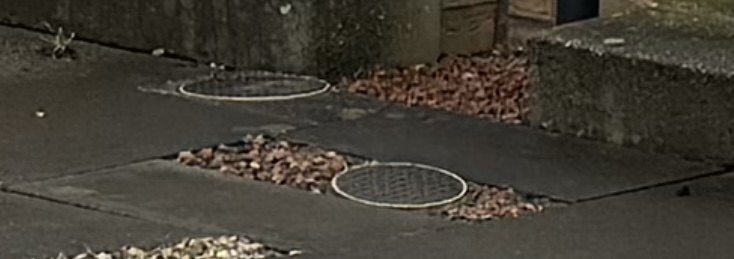 Garden ocd - Obsessive-Compulsive Disorder (OCD) - OCD-UK Forums